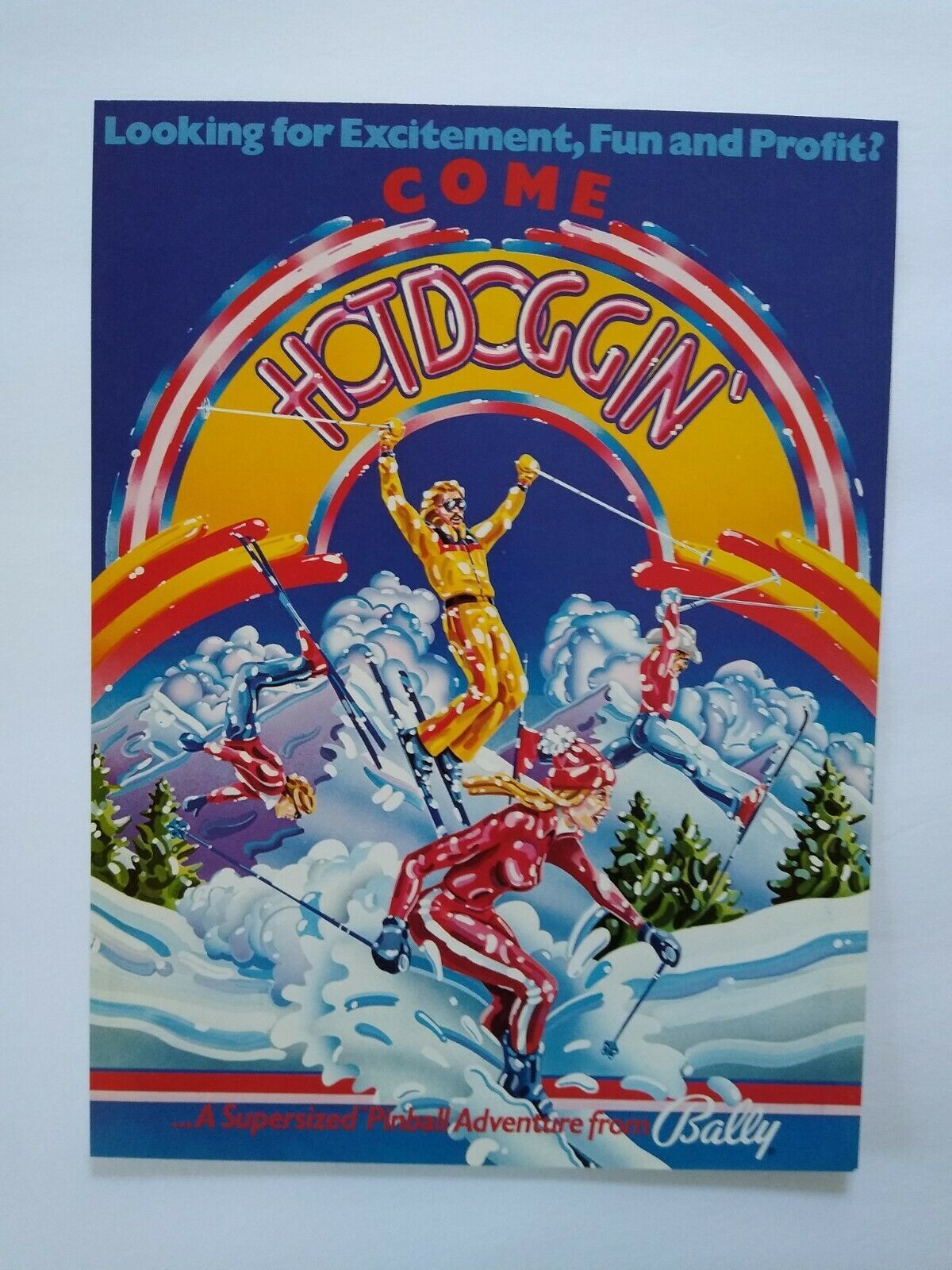 Hotdoggin Pinball Machine Flyer 1980 Original Game Art Print Skiing ...