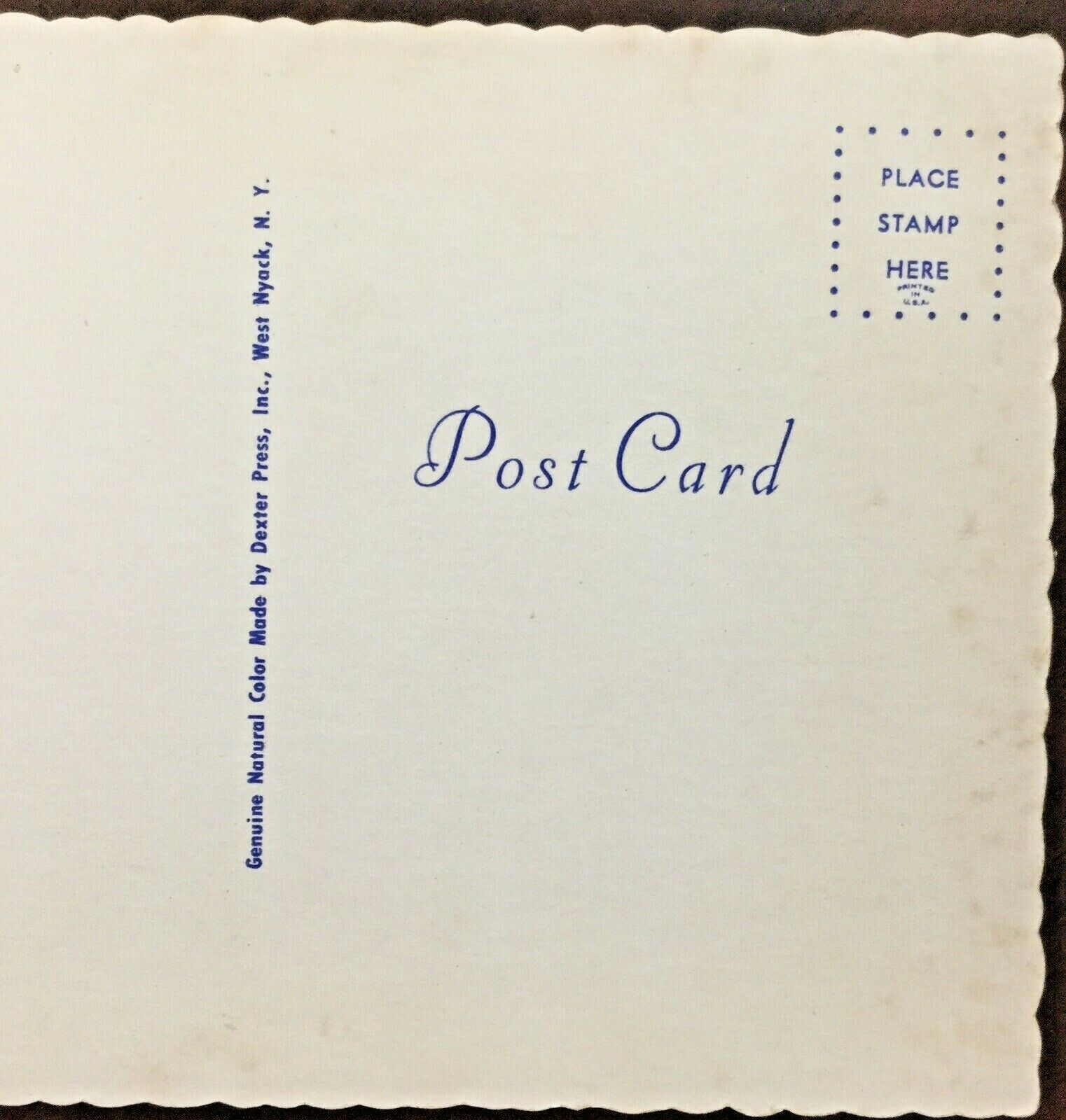 Vintage 1960's Cocker Spaniel Dexter Postcard | Topics - Animals ...