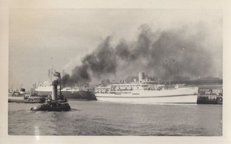 Devonshire Motor Vessel Bibby Line Ship Rare Vintage Photo | Topics ...