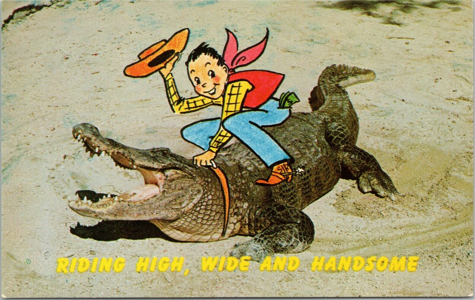 Riding High, Wide and Handsome, cartoon cowboy on alligator/crocodile ...
