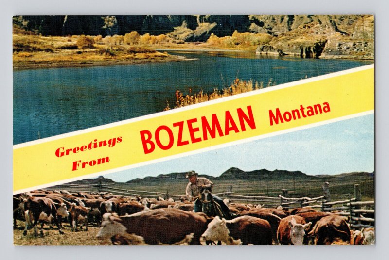 Postcard Montana Bozeman MT Cattle Ranch Split View Banner 1960s Chrome ...