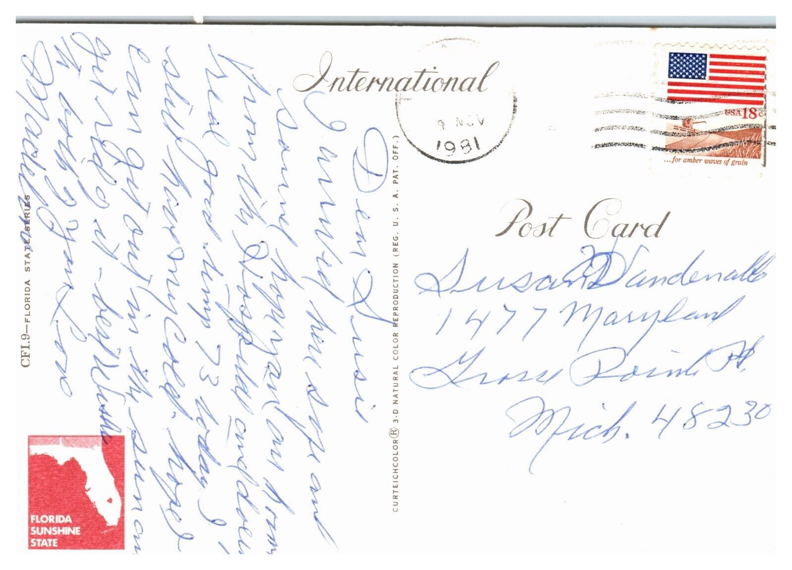 Florida Multi View Sunshine State Beach Tropical Posted Cancel Chrome ...