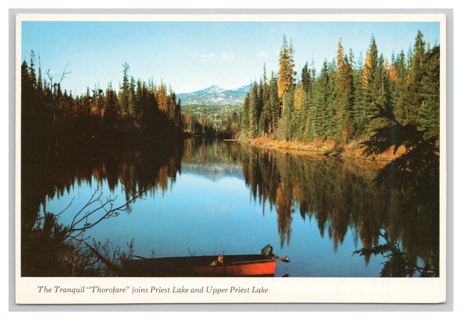 Postcard "Thorofare" Joins Priest Lake & Upper Priest Lake Continental ...