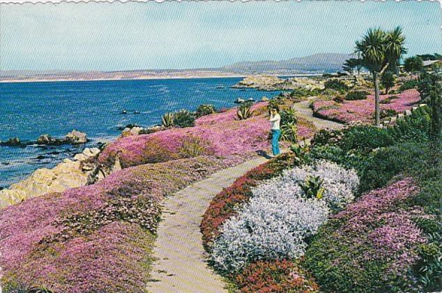 California Monterey Peninsula Showing Shoreline With Beautiful Spring ...