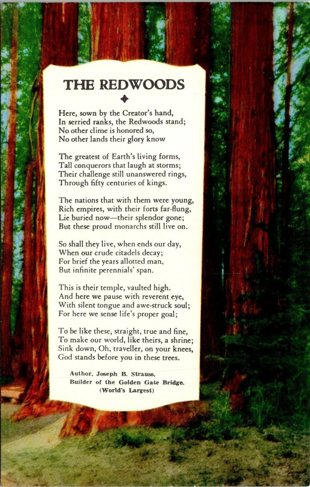 Vintage Postcard "The Redwoods" Poetry Written by Joseph B. Strauss ...