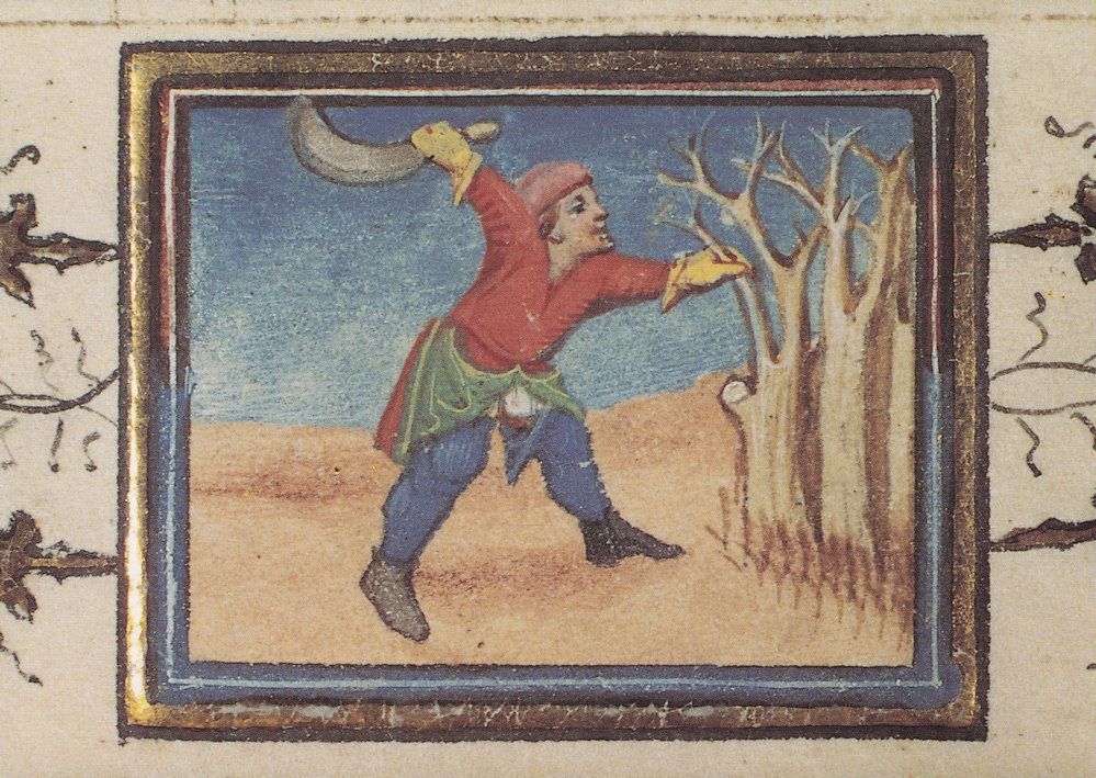Pruning Trees Belgium Flemish Prunes Medieval Book Postcard | Europe ...
