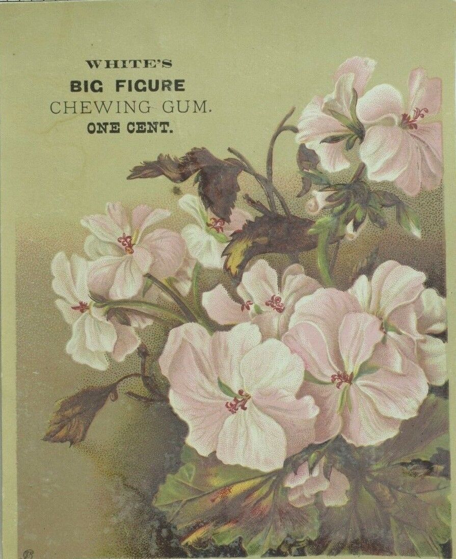 1880's White's Big Figure Chewing Gum Flowers Victorian Trade Card #F ...