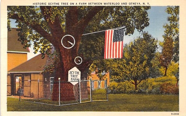 Historic Scythe Tree Geneva, New York | United States - New York ...