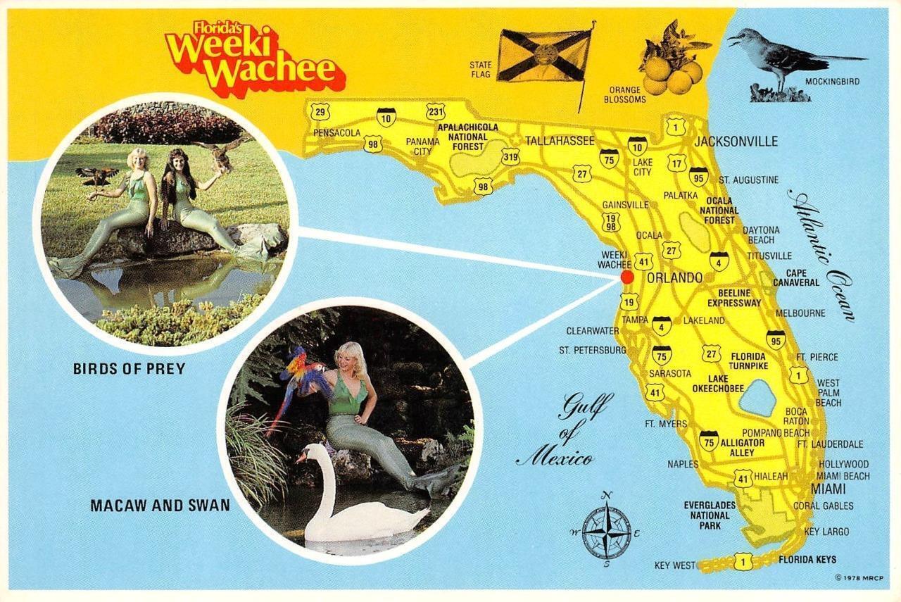 WEEKI WACHEE Florida Map Mermaids Birds Macaw Swan 4x6 1978 Vintage ...