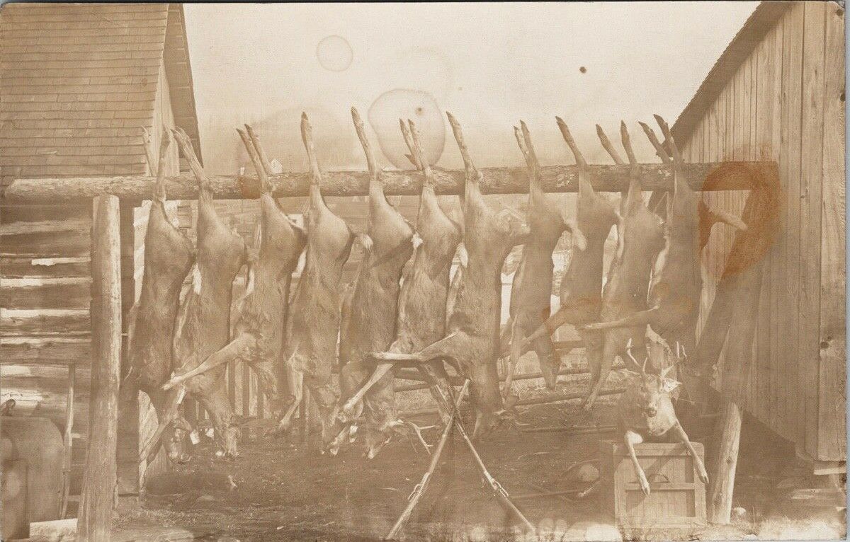 Dead Deer Hunted Hunting Venison Unused Real Photo Postcard F88 | Other ...