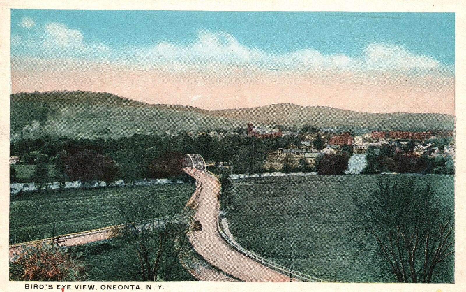 Vintage Postcard 1920' Bird's Eye View Bridge Mountains House Oneonta ...