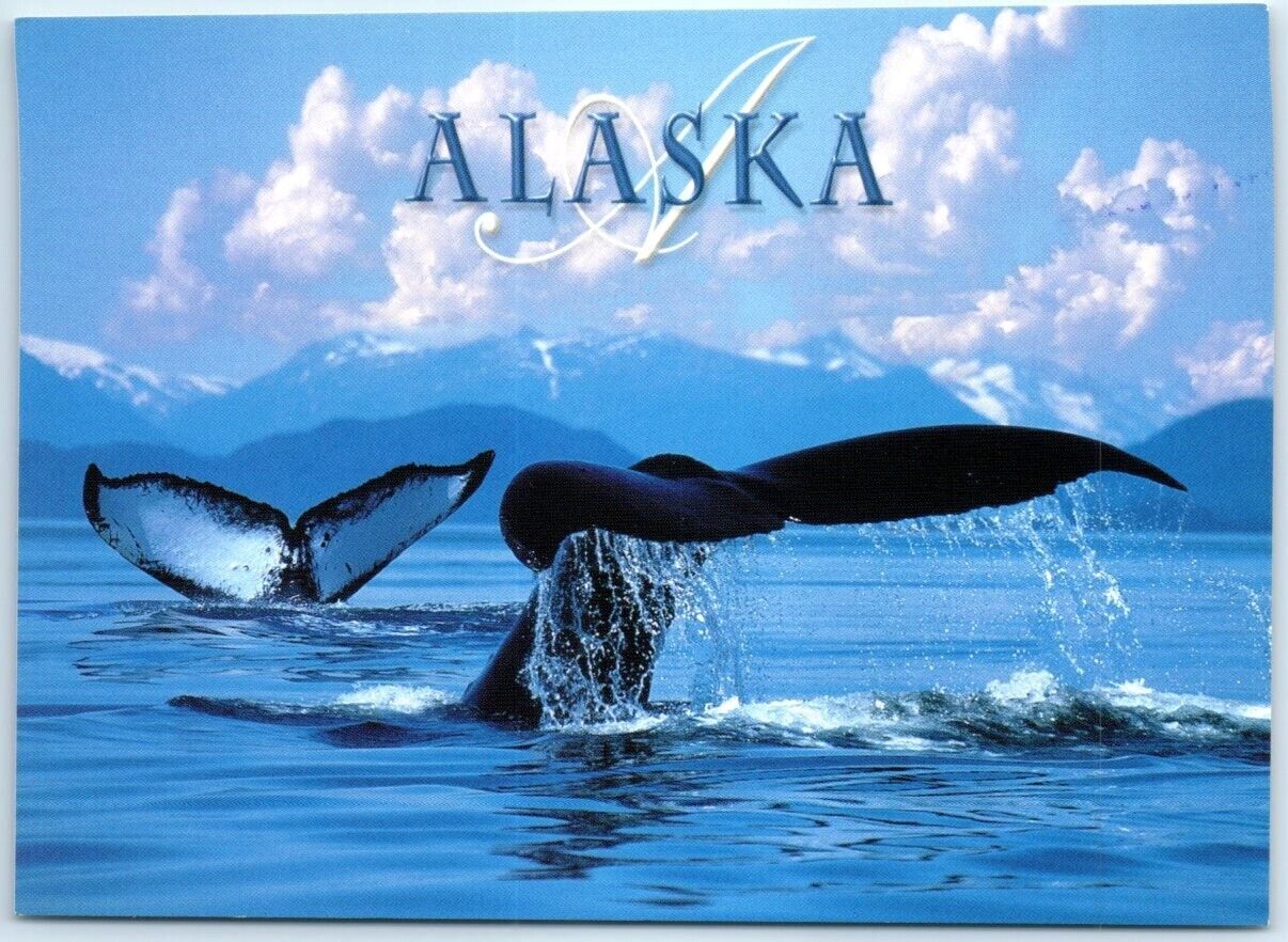 Postcard - Composite view of humpback whale, Icy Strait - Alaska ...