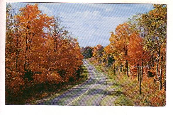 Highway 60, Algonquin Park, Ontario, Newt Winger | Canada - Ontario ...