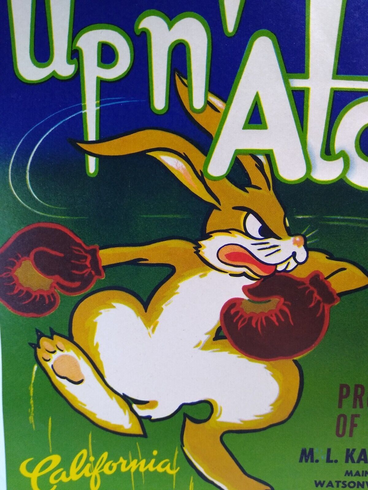 Up N Atom Boxing Gloves Bunny Rabbit Carrots Crate Label Original 1940 ...