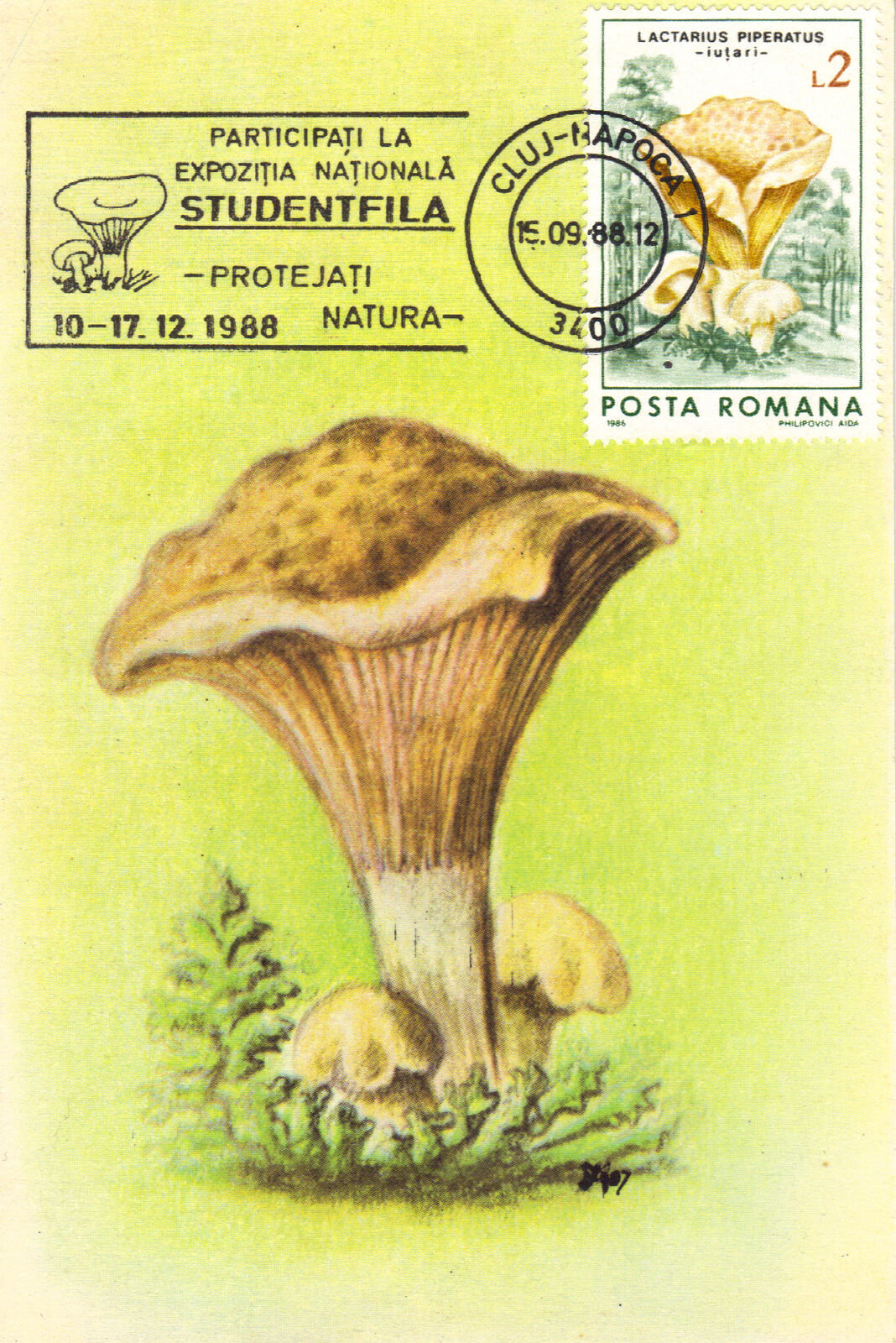 Maxi Card Romania 1986 Mushrooms Lactarius Piperatus (Iutari) | Other ...