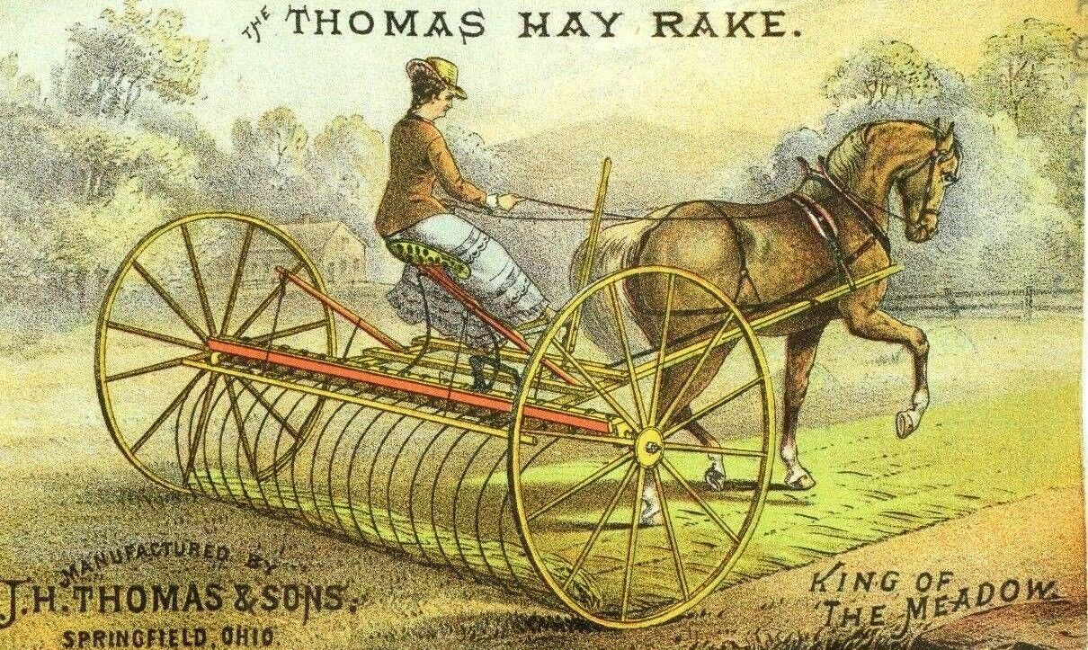 The Thomas Hay Rake J. H. Thomas & Sons Farm Scene Lady Horse Field ...