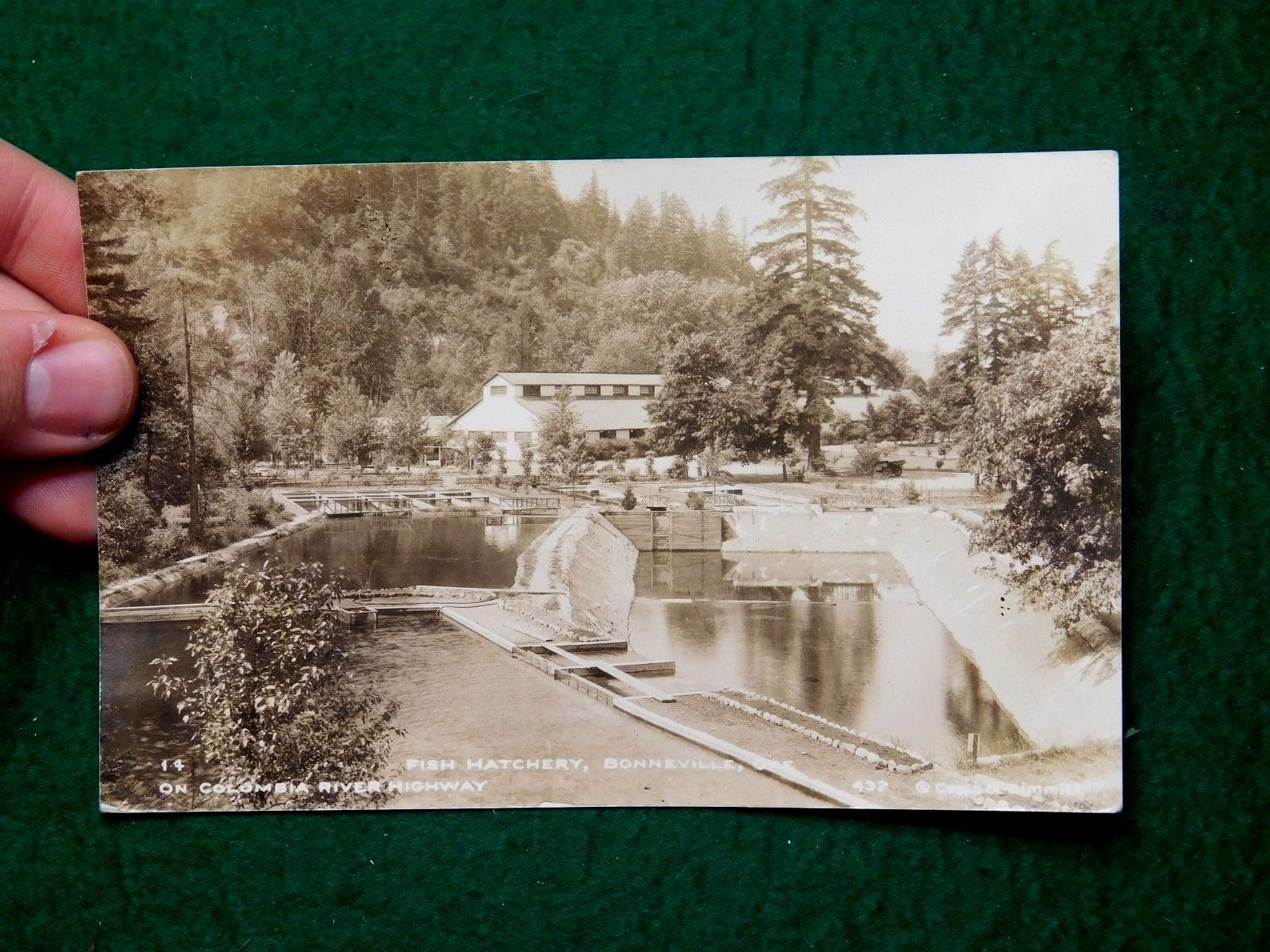 Vintage RPPC Fish Hatchery Buildings Ponds, Bonneville, Oregon Real ...
