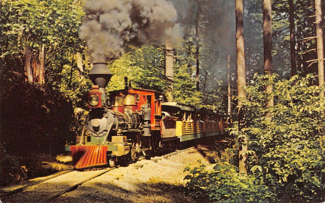 Steam Train Portland Zoological Gardens Oregon Railroad Zoo '60s ...