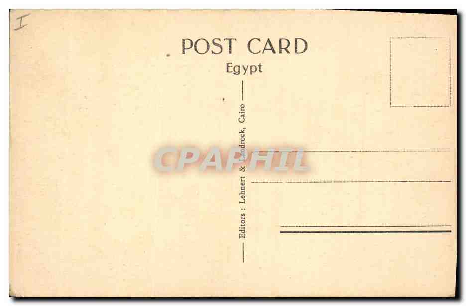 Postcard Ancient Egypt Egypt Cairo The Pyramids of Giza Donkey Mule ...