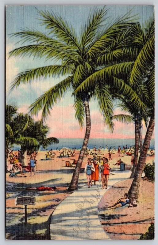 Miami Beach Florida Shoreline Oceanfront Coast Atlantic Ocean Palms PM ...