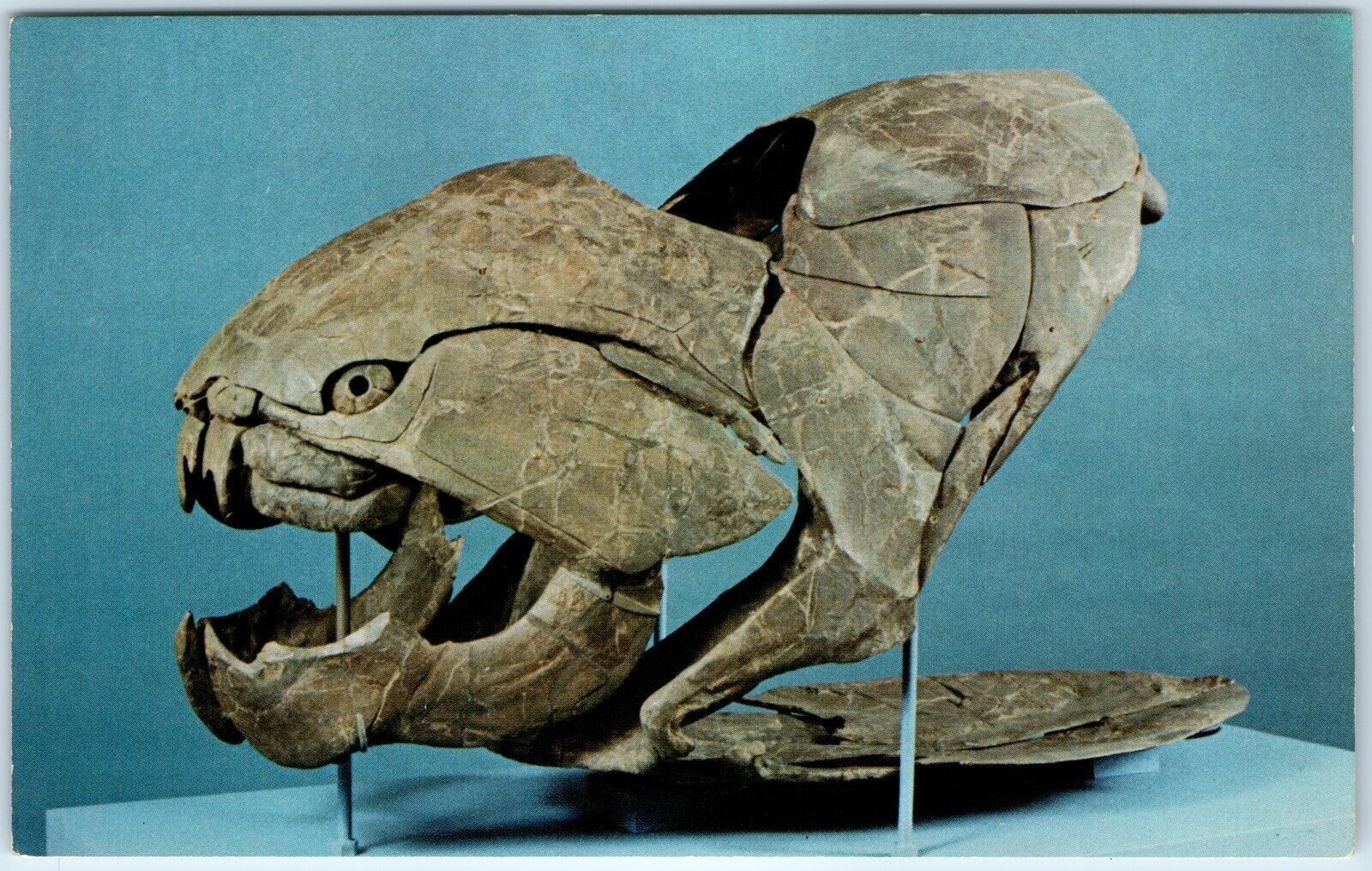 c1960s Cleveland, OH Museum Dunkleosteus Wade Oval Dinosaur Fish Chrome ...