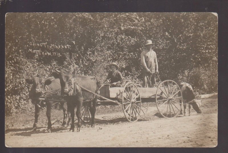 Mattoon WISCONSIN RPPC 1909 COW CART Cows MARKET nr Antigo Aniwa Neopit ...
