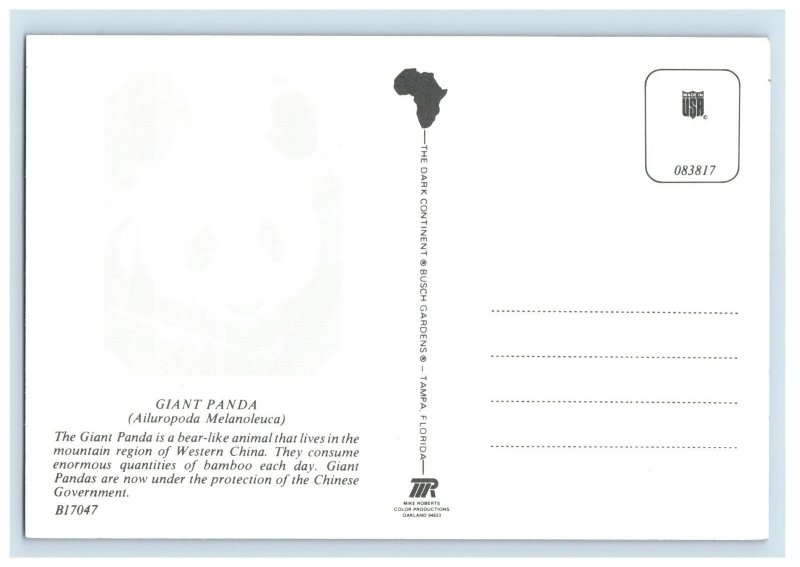 Vintage Panda, Bush Gardens The Dark Continent. Tampa, Florida ...