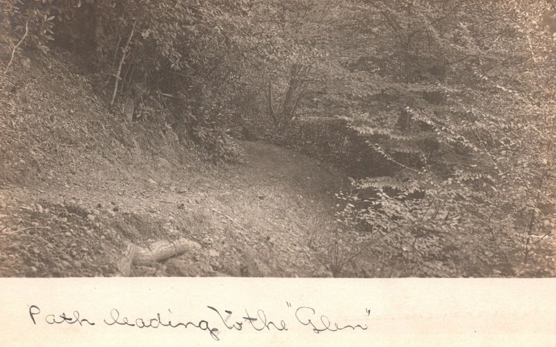 Vintage Postcard Path Leading To The Glen Trail Pathway Watkins Glen ...