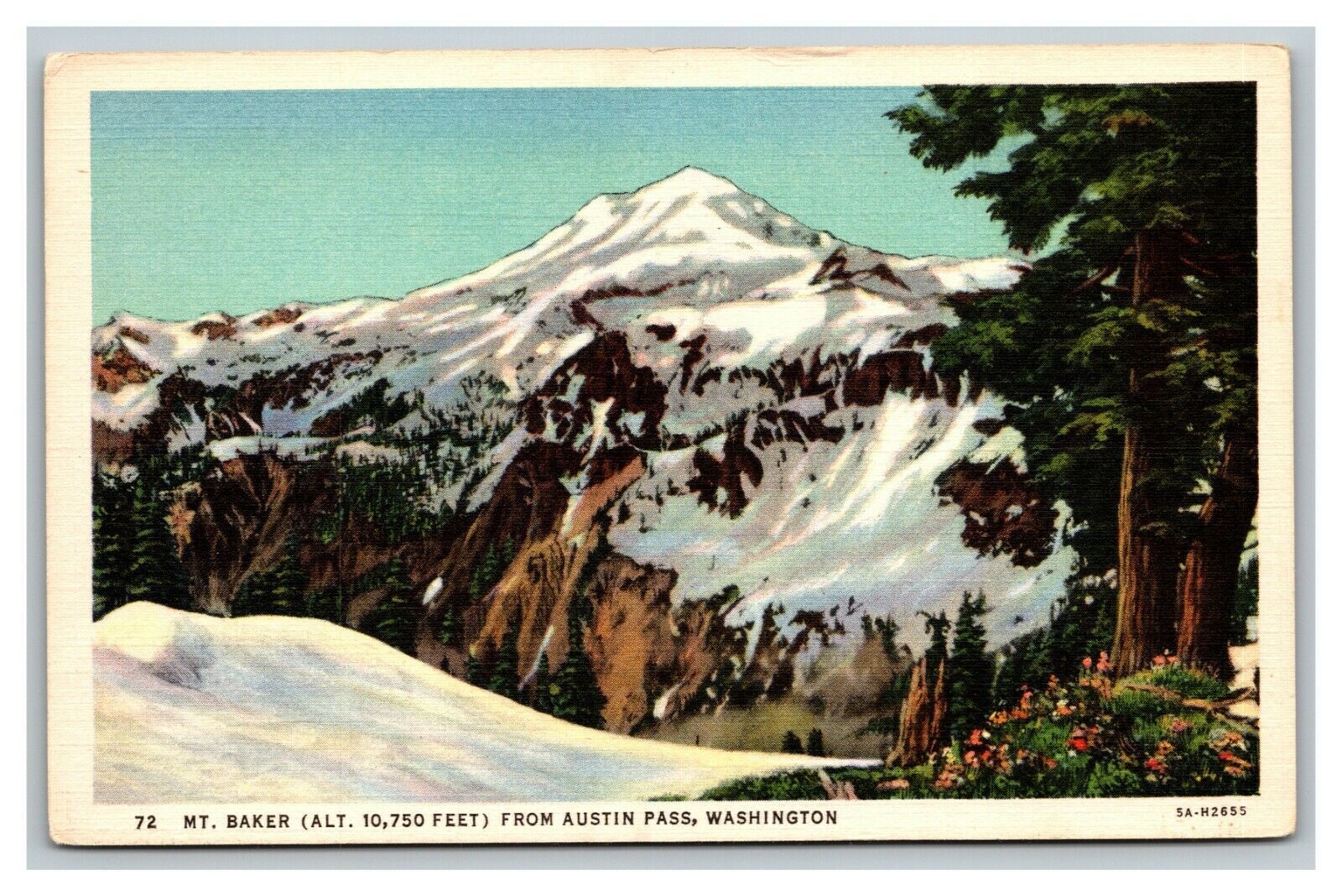 Vintage 1940's Postcard Mt. Baker-Snoqualmie Forest Austin Pass ...