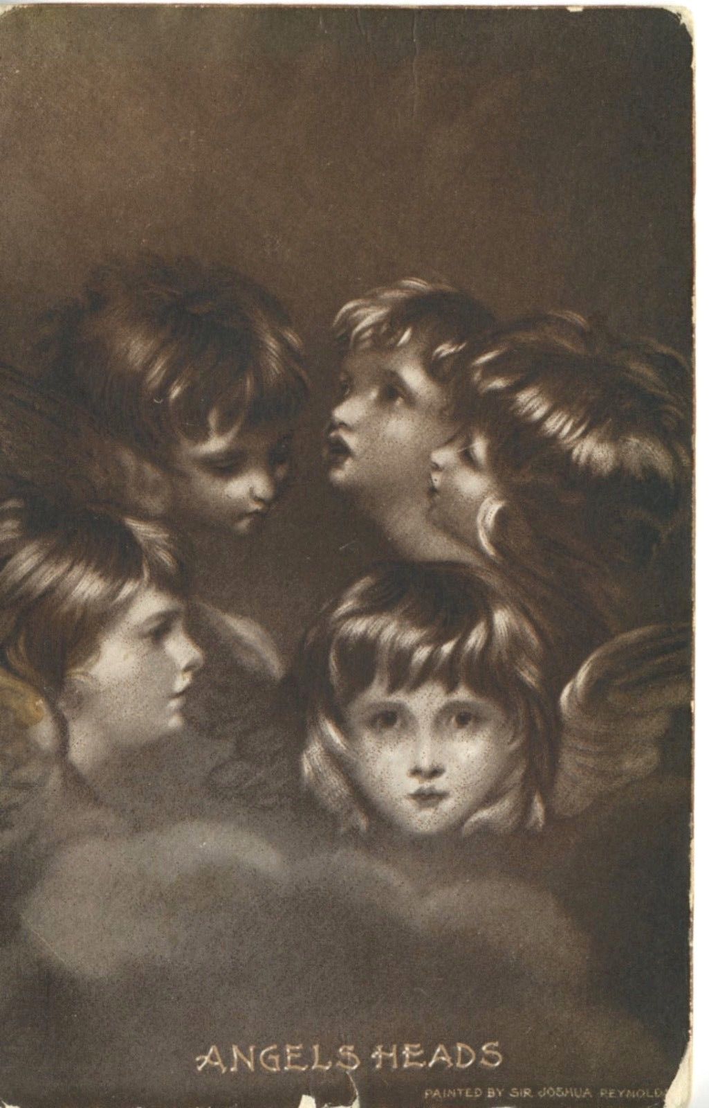Angels Heads Fantasy Five Sir Joshua Reynolds Sheahan's c1907 Postcard ...