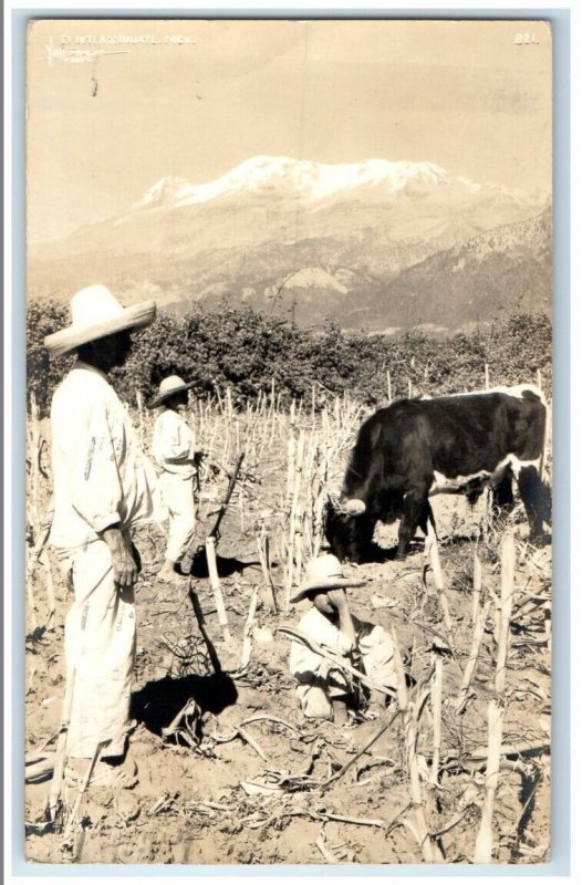 1941 Farmer Farm Corn Cow View Of Iztaccihuatl Puebla Mexico RPPC Photo ...