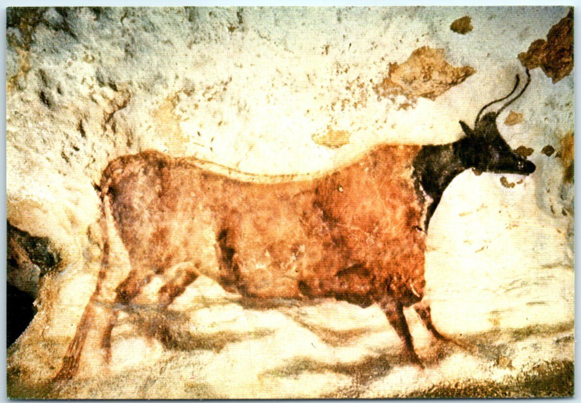 Shot of a Cow in the Prehistoric cave of Lascaux La Vache - Montignac ...