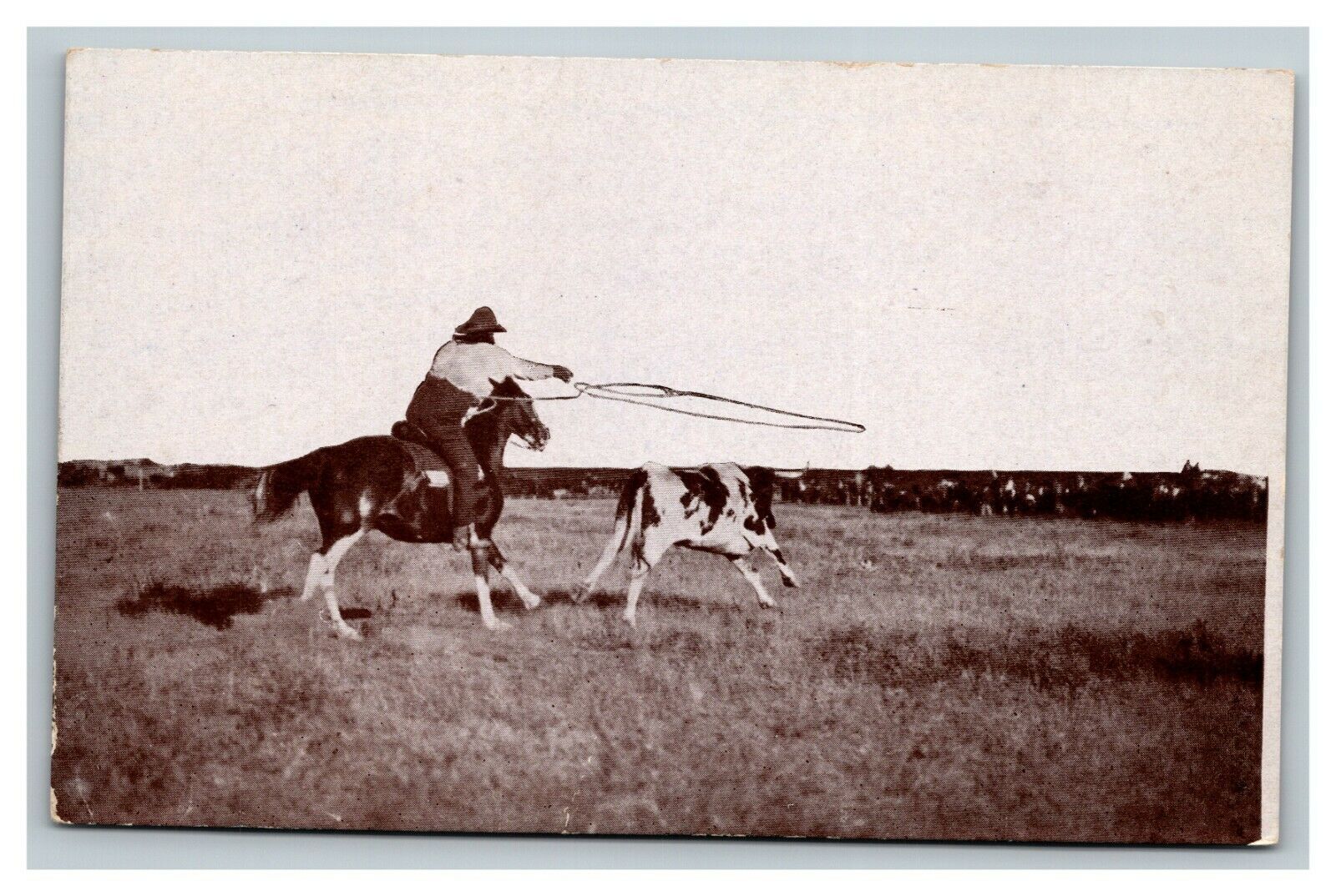 Vintage 1950's Photo Postcard Cowboy on the Prairie Lassoing a Cow ...