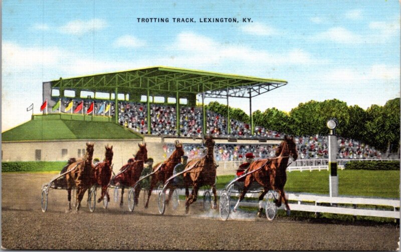 Linen Postcard Trotting Track in Lexington, Kentucky Horse Cart Racing ...