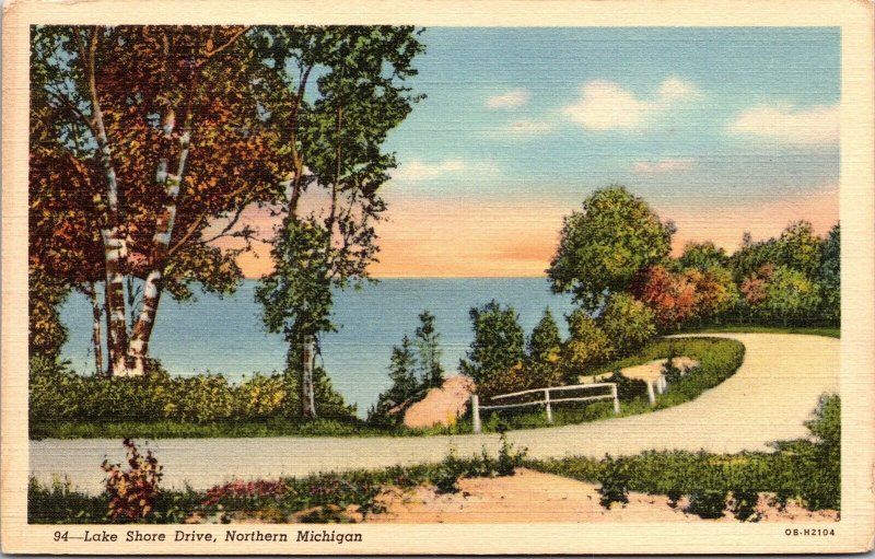 Vtg Lake Shore Drive Northern Michigan MI 1940s Old Linen View Postcard ...