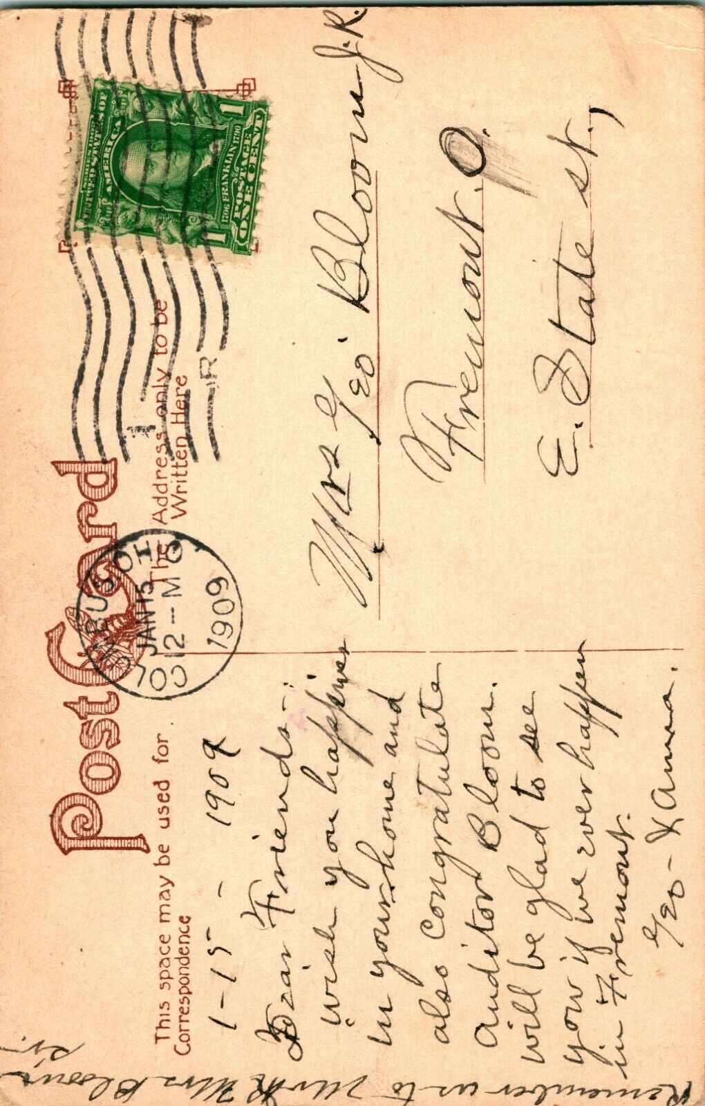 Vtg 1909 Photo Postcard Risque BATHING BEAUTY Fine Birds with Few ...