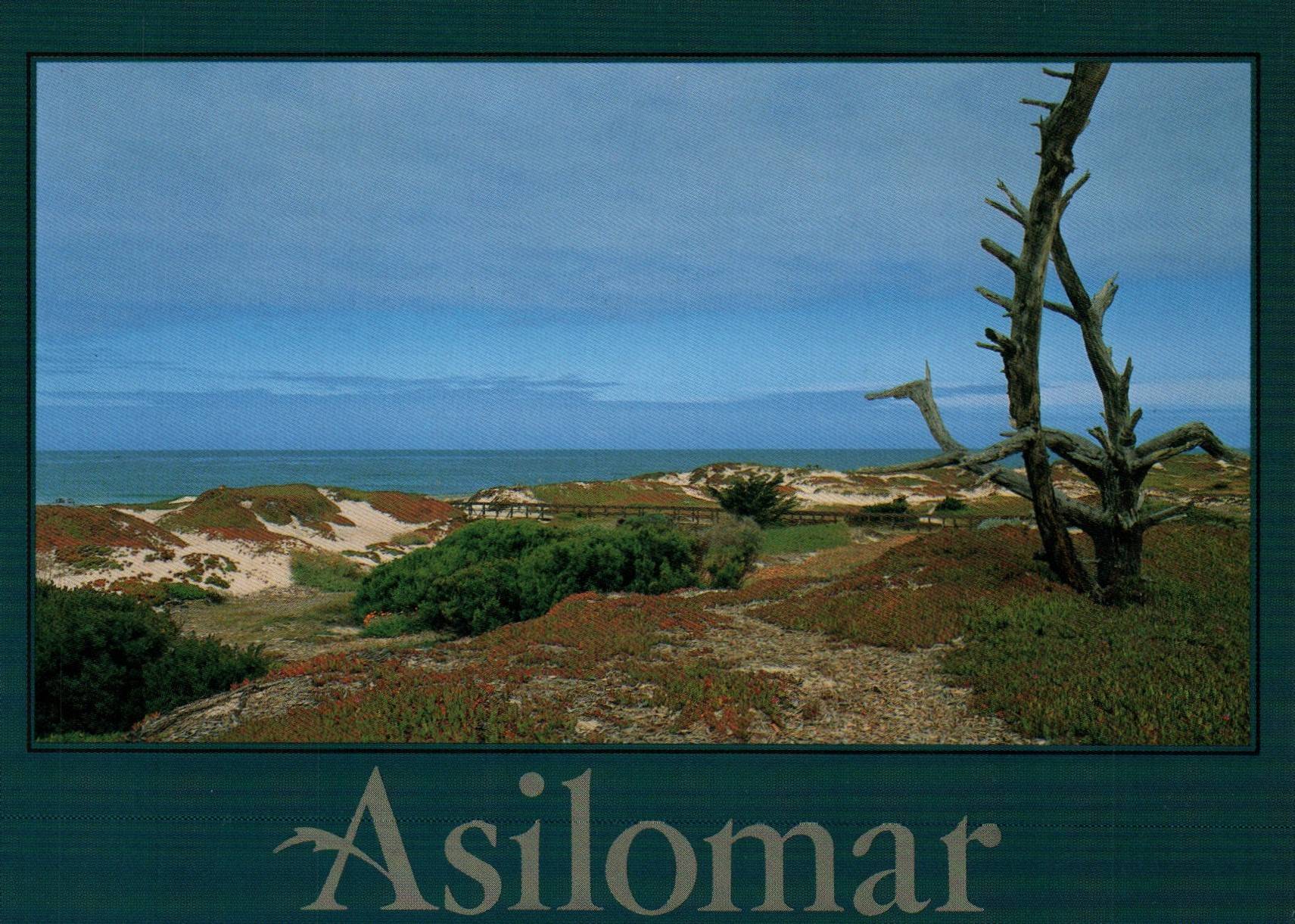 Asilomar Conference Center and State Beach,CA | United States ...