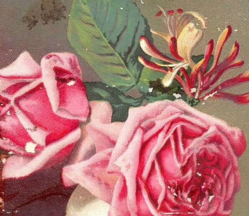 1880s-90s A. P. Hubbell Jeweler Lovely Vase Pink Roses Honey Suckle Fab ...