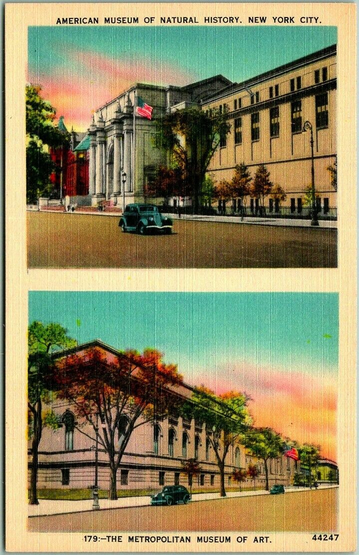 New York City Postcard Natural History / Metropolitan Met Museum Views ...