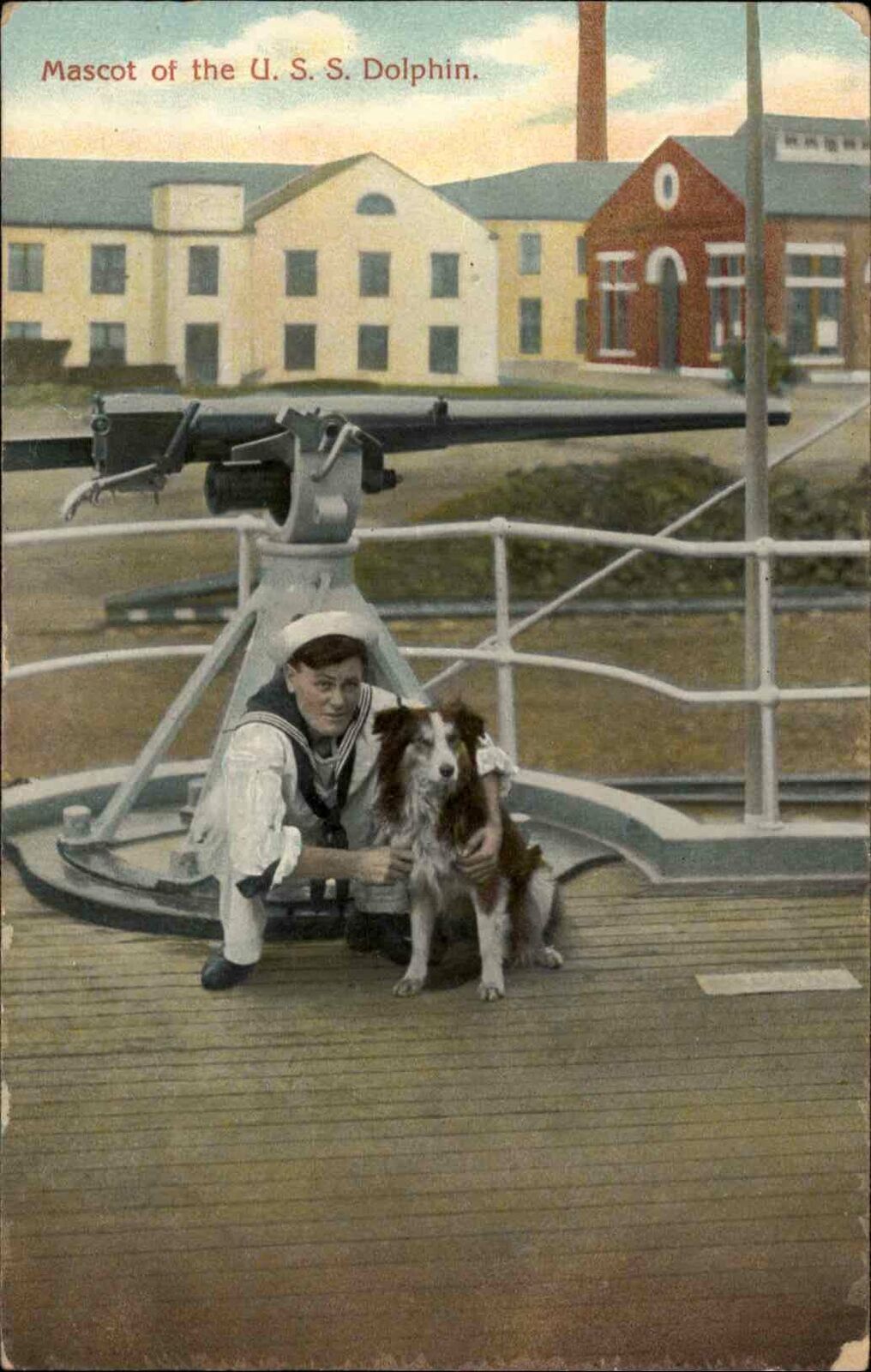 US Navy Sailor & Dog Mascot of Ship USS Dolphin c1910 Postcard | Topics ...