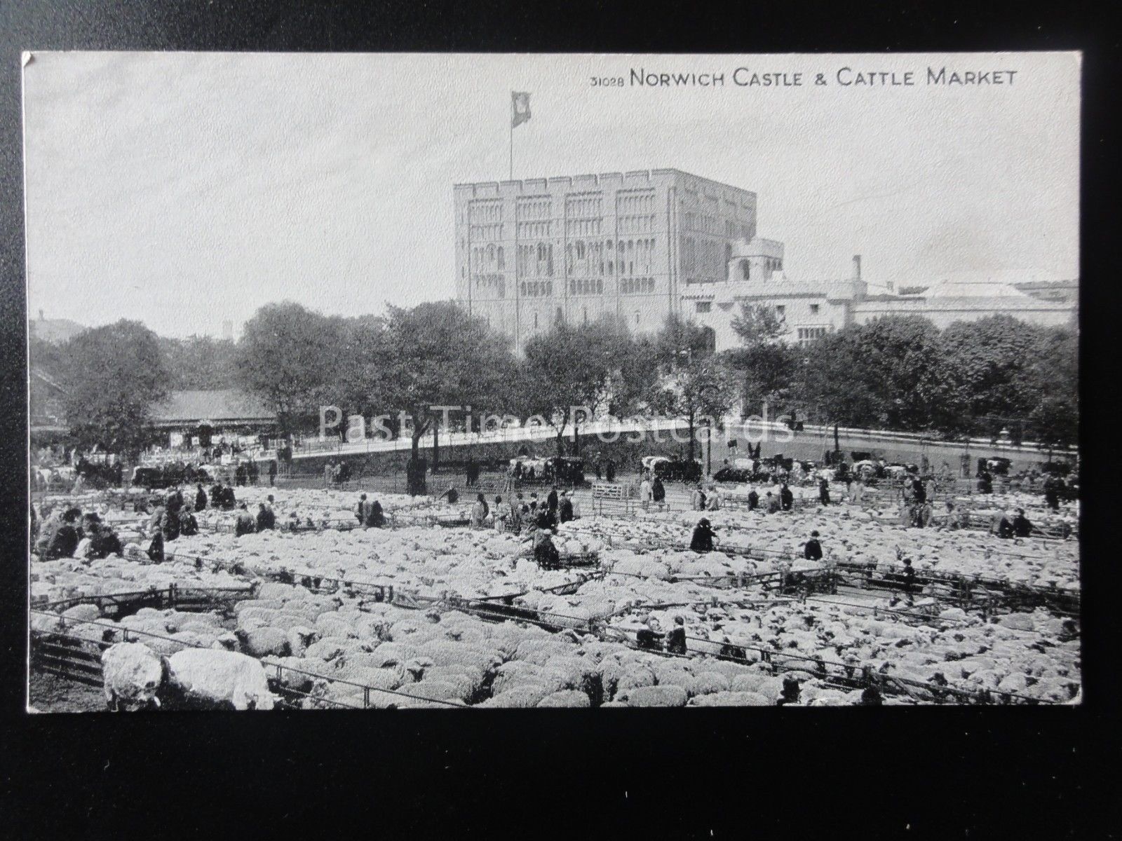 Norfolk NORWICH CASTLE & CATTLE MARKET Collection of 7 Old Postcards ...