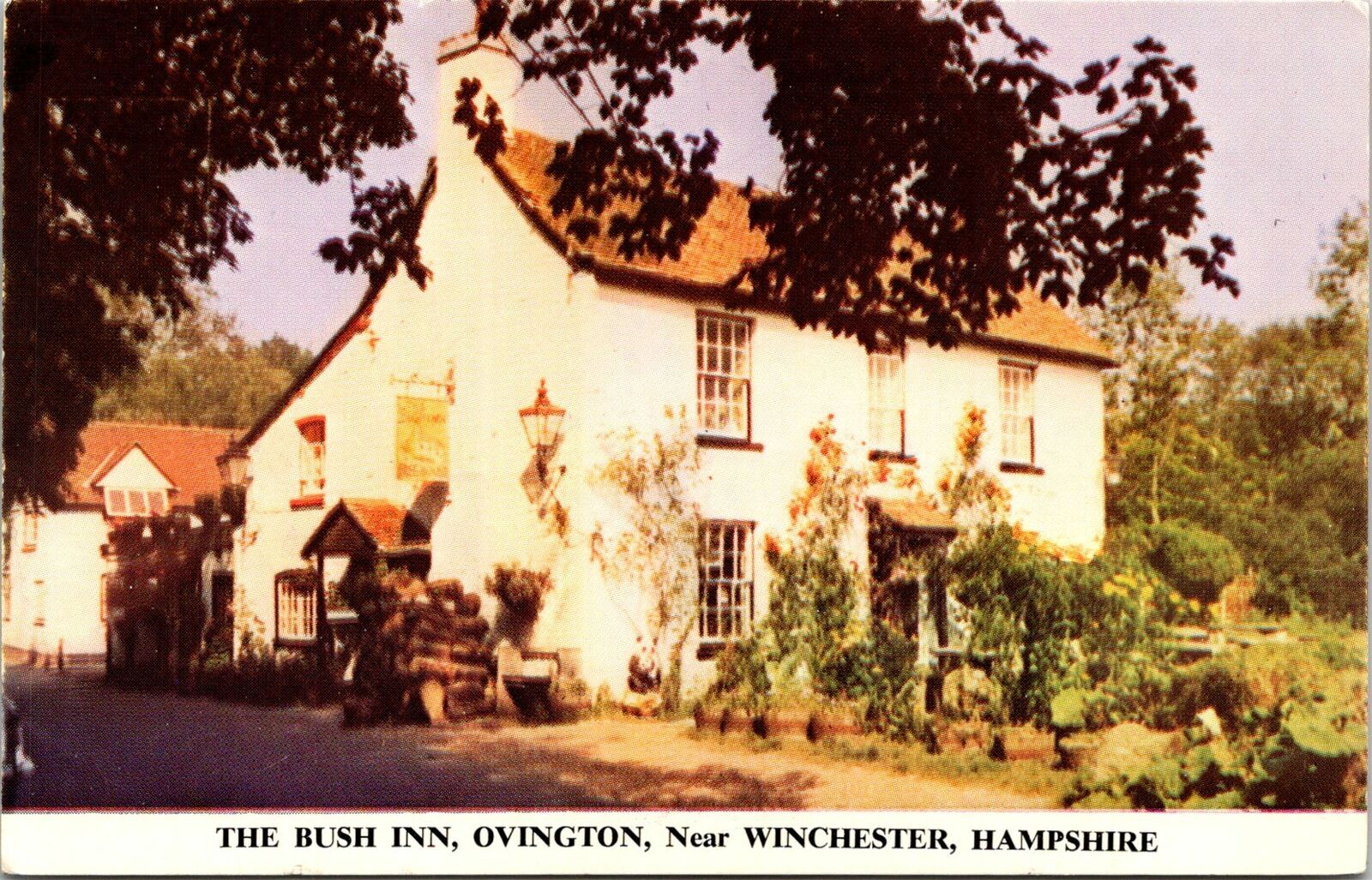Vintage Postcard the Bush INN Ovington Winchester Hampshire "Pilgrims ...