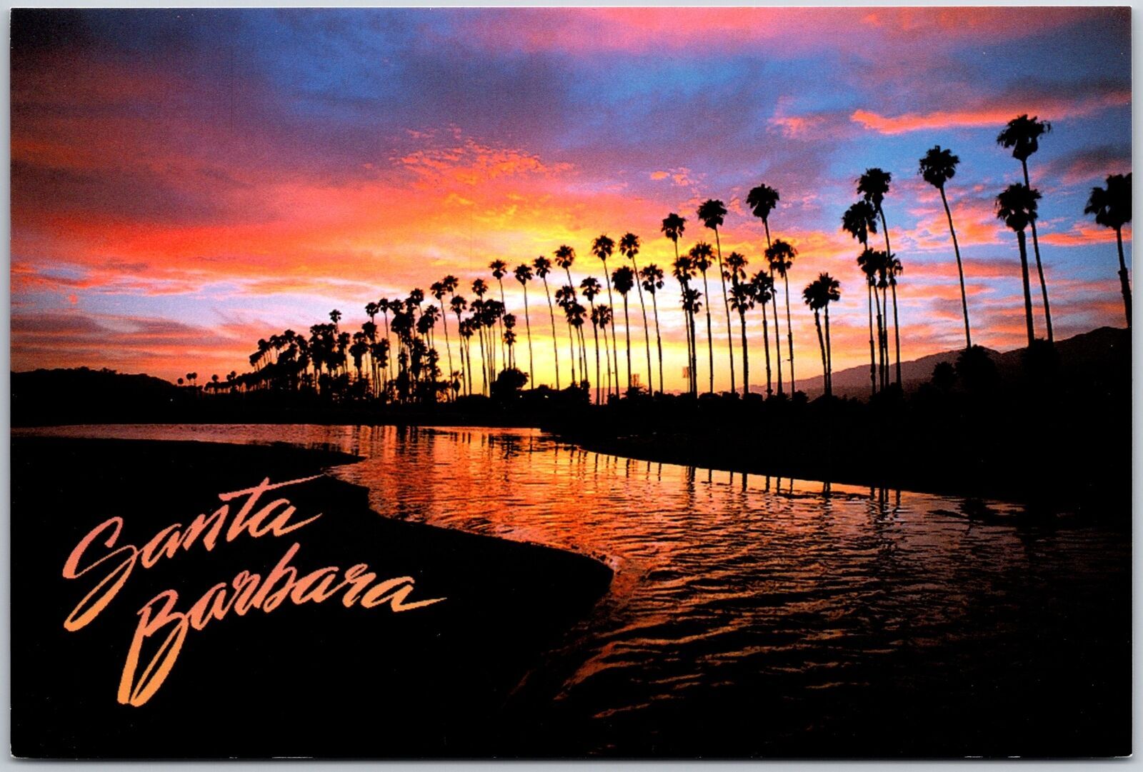 Santa Barbara California Palm Tress Line The Beaches In Coastal City ...