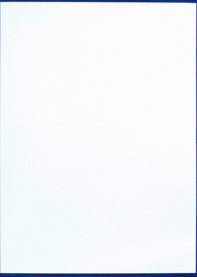 SOVIET AVIA POSTER Aviation Avant -Garde Placard Stalin Aviation USSR ...