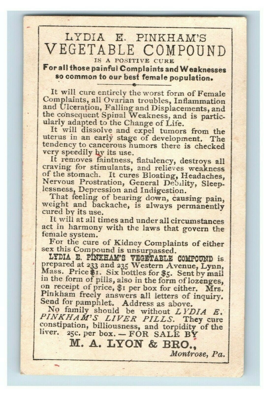 1880's Lydia E. Pinkham Quack Medicine East River Bridge NYC Trading ...