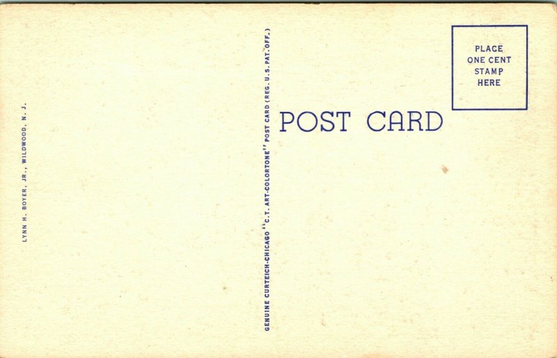 Lot of 2 Vtg Linen Postcards - Pennsylvania State Flower - Mountain ...