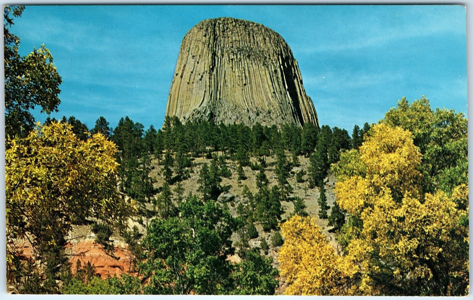 c1960s Devils Tower, WY Ancient Volcano Campground Tree Stump Chrome ...