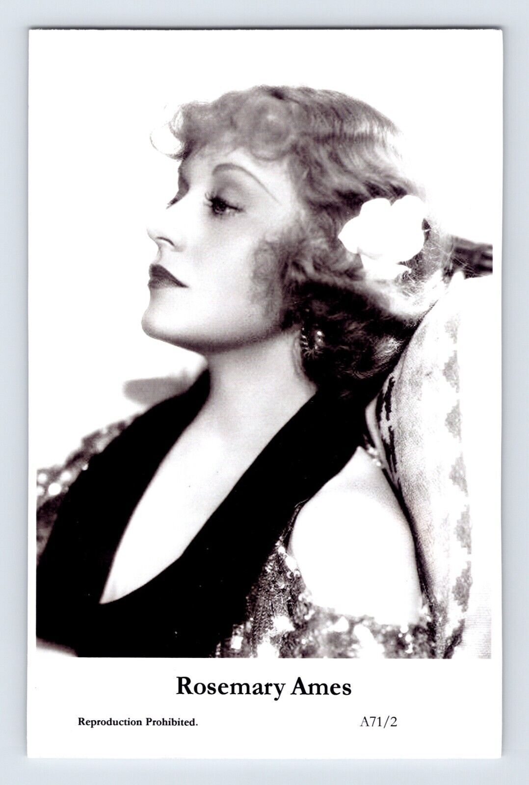 Postcard RPPC Rosemary Ames Glamour Head Shot Photo 2000s 3.5x5.5 Print ...