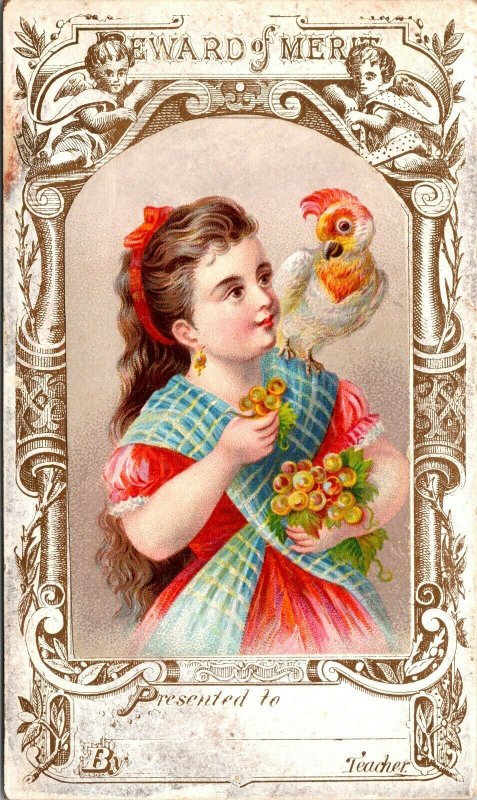 Victorian Reward Of Merit Card - GIRL - BIRD EXOTIC | Ephemera - Other ...