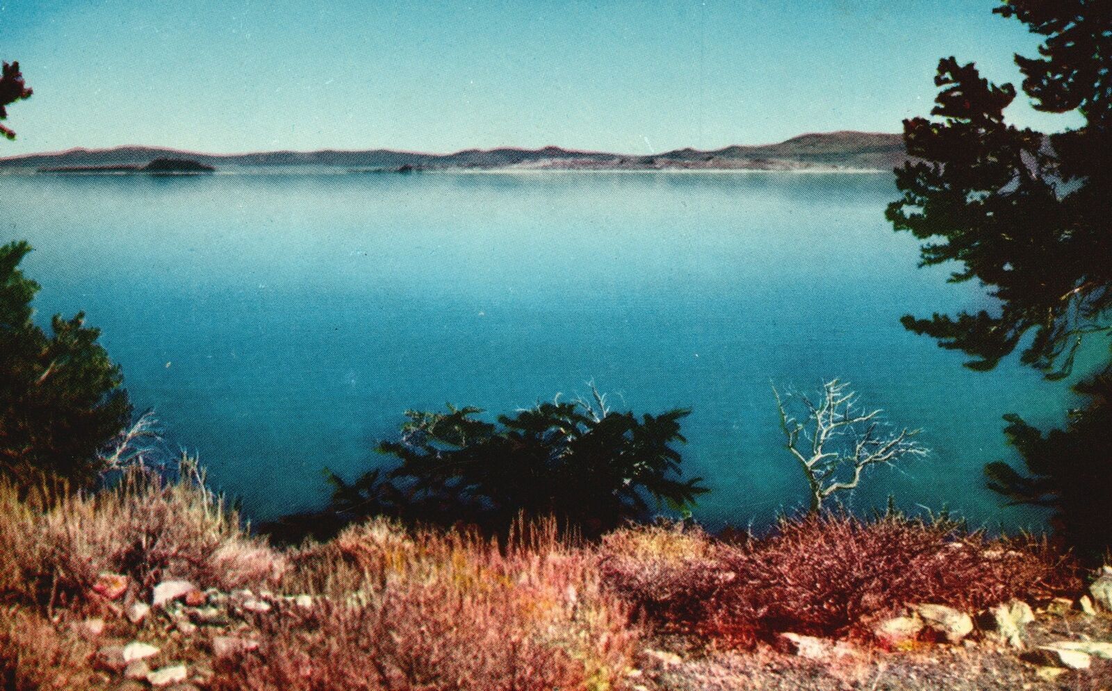 Vintage Postcard Mono Lakes Islands Dead Sea Of America Mono County ...